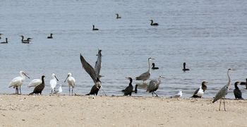 Visite de Porto côté nature, parcs et jardins - du Douro aux colines