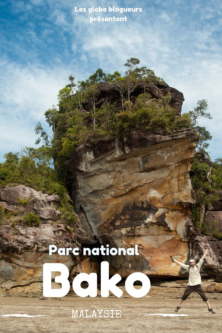 Parc national Bako : à la rencontre des singes de Bornéo