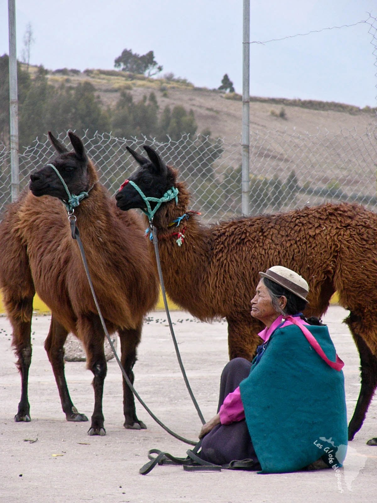 Dans la sierra d'Equateur, au pied du Chimborazo : San Francisco