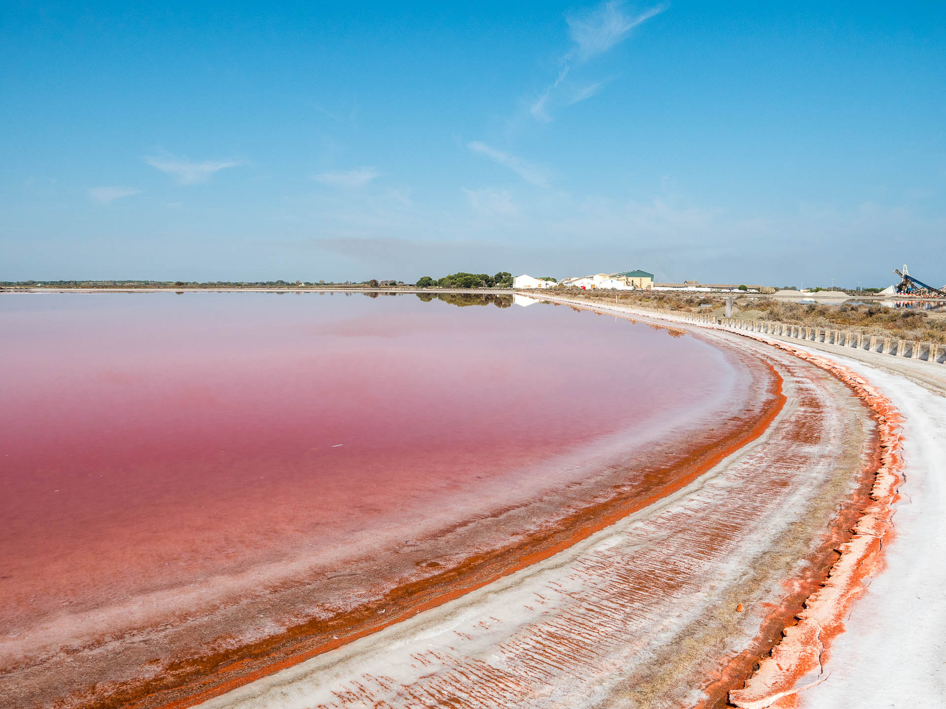 Visiter la Camargue, que faire ? Des manades à la nature