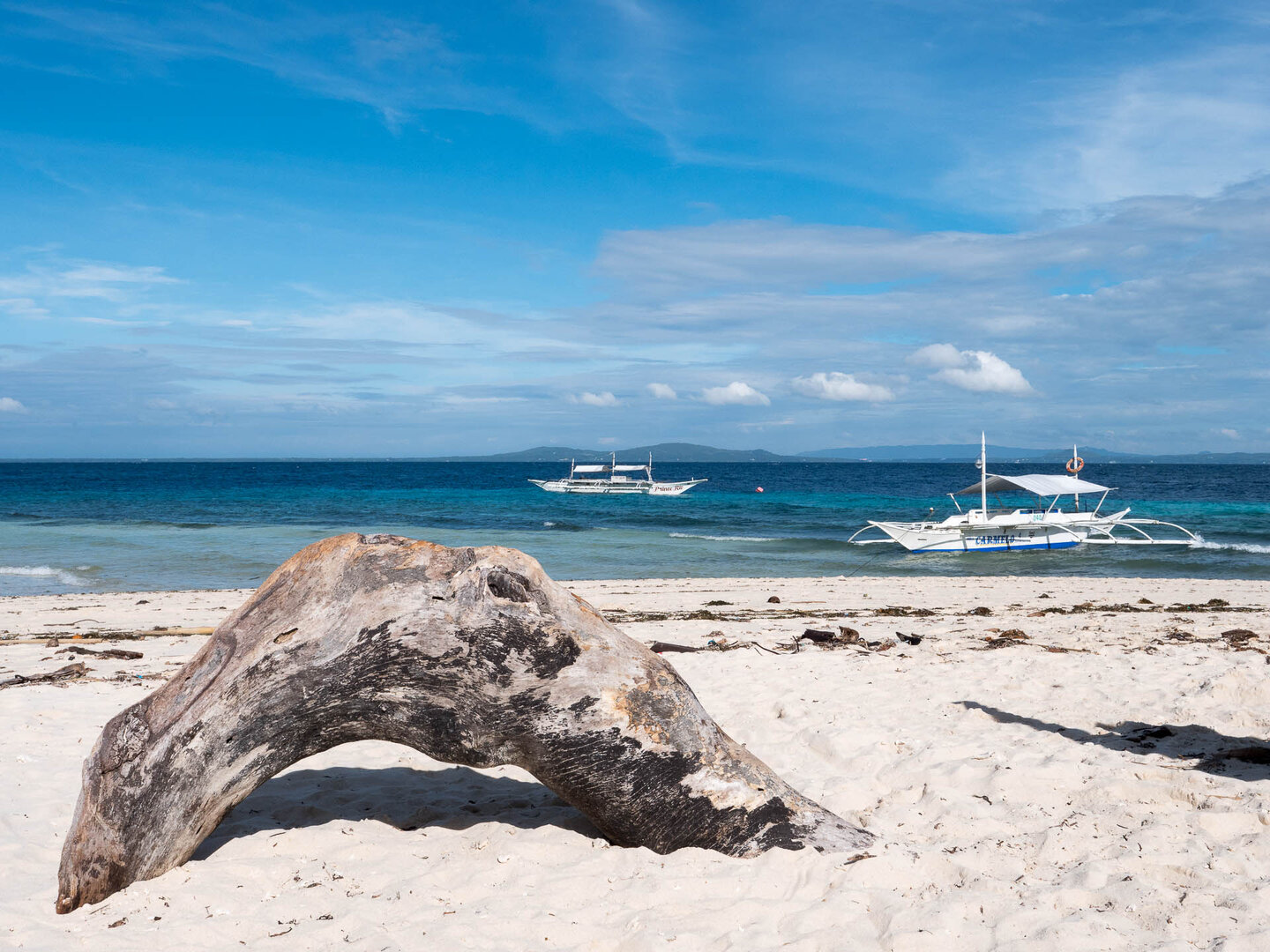 Une journée parfaite sur l'île de Pamilacan : dauphins, snorkeling ...