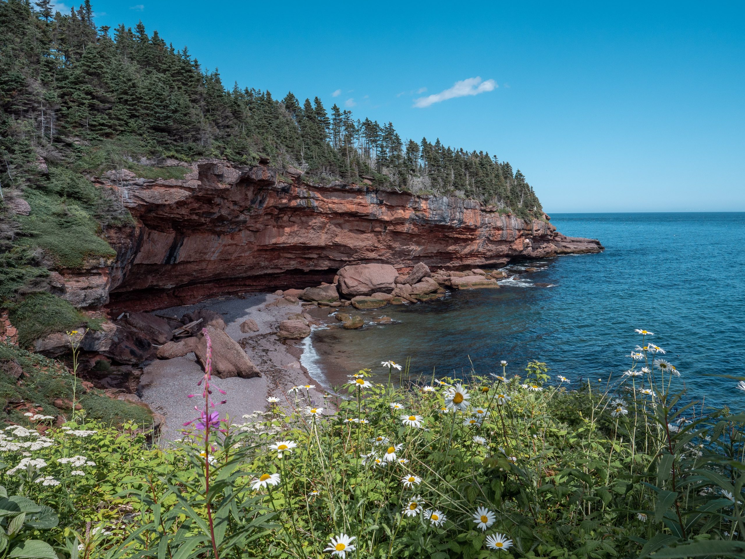 Visiter le parc national de l'île Bonaventure et du rocher Percé - que ...
