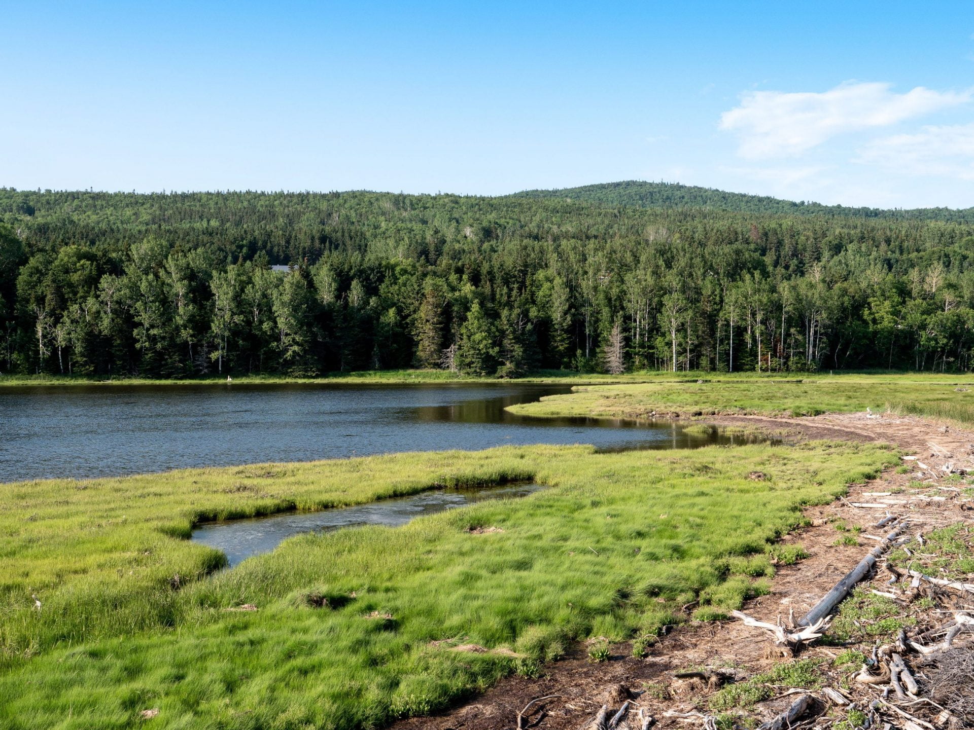Le parc national Forillon, découverte pleine nature - récit et guide ...
