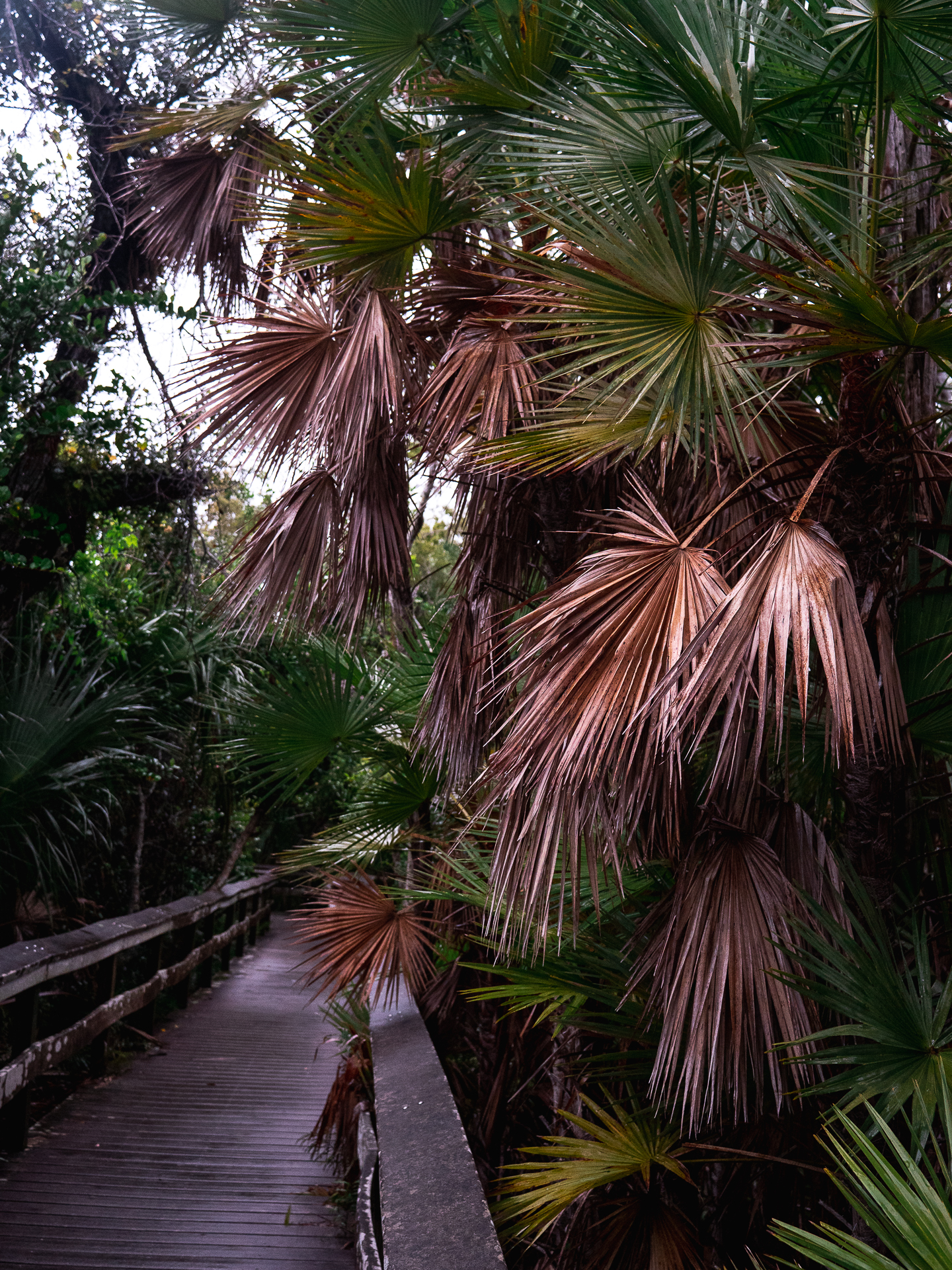 Visiter le parc national des everglades - notre guide