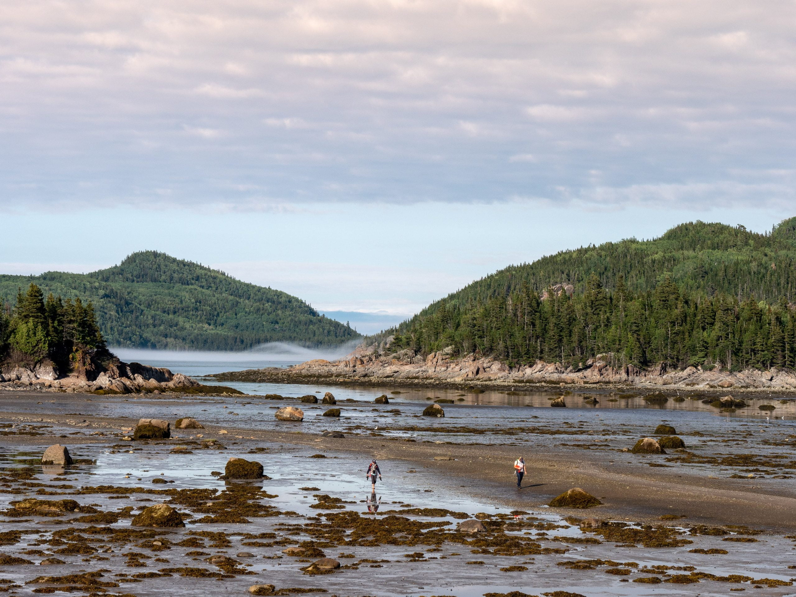 Visite du parc national du Bic et Rimouski, que voir, que faire ? Notre ...