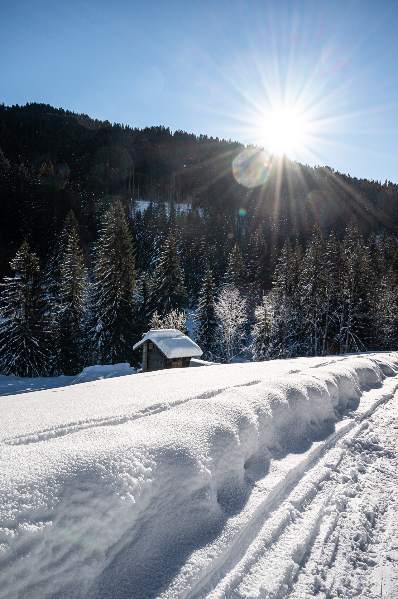 Que faire à la station Praz de Lys Sommand ? Notre guide