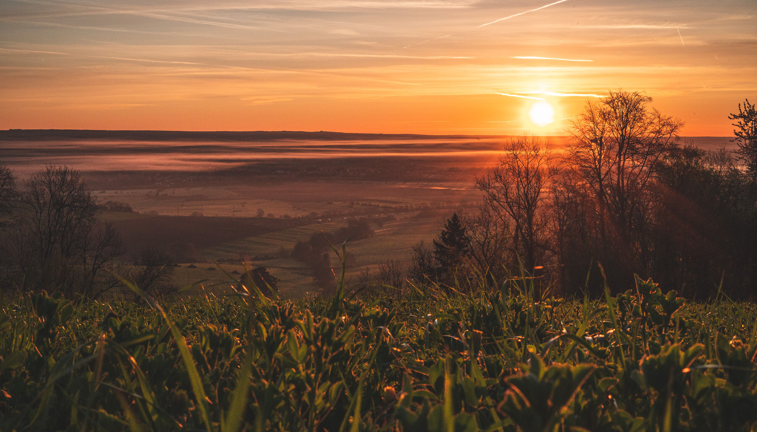 Blog voyage dans le Grand Est : récits et guide pratique