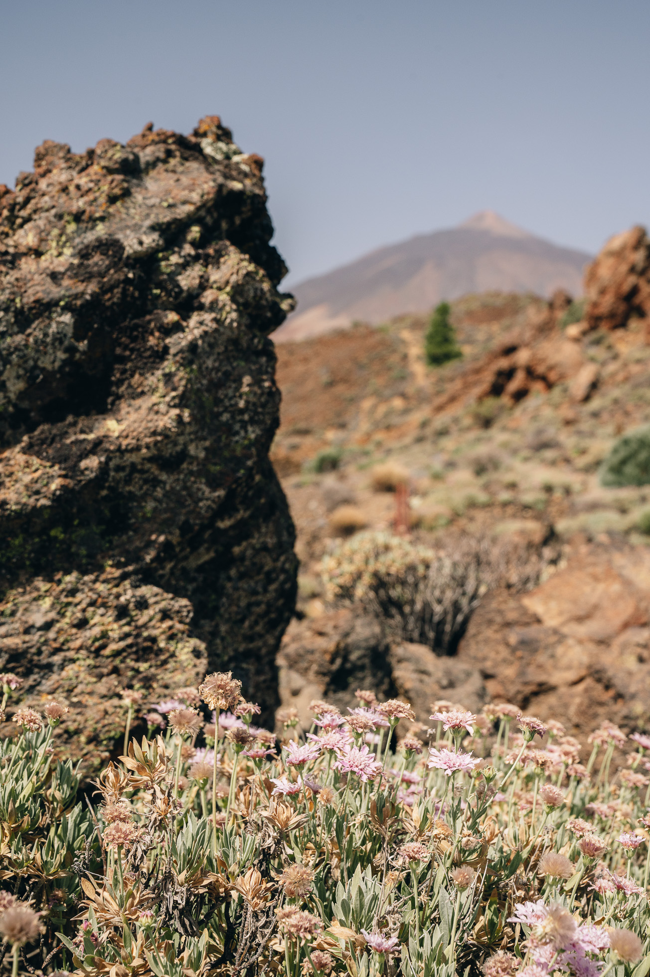 Randonnées au parc national du Teide et ascension au sommet