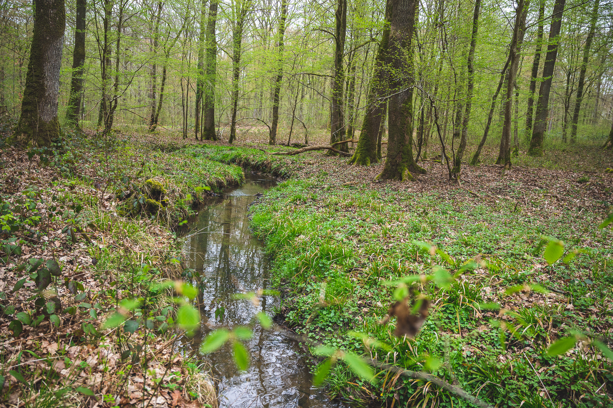Visiter le parc naturel régional de l'Avesnois - que faire