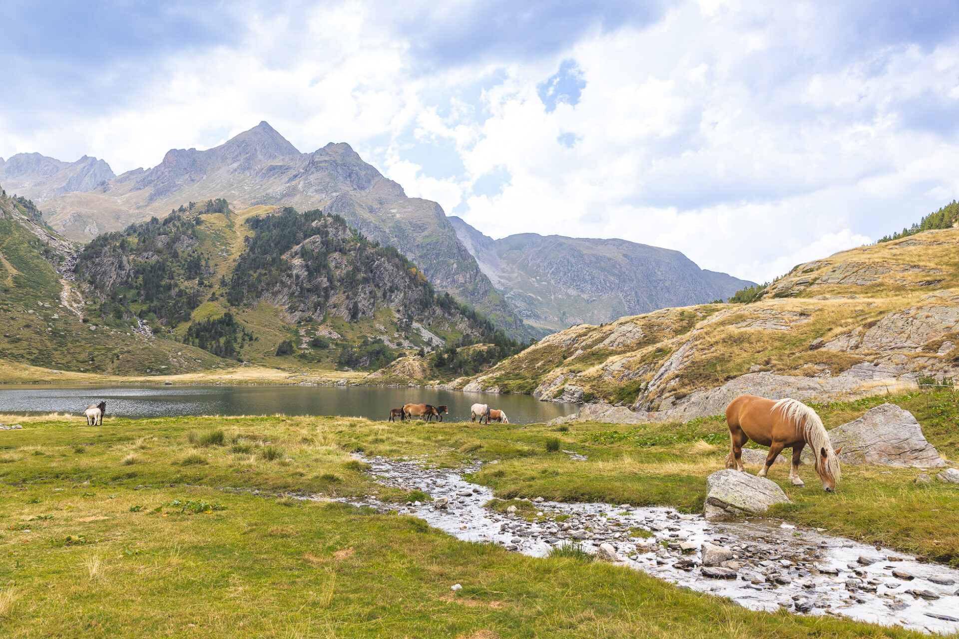 Randonnée au lac d'Oo et refuge d'Espingo - granges d'Astau