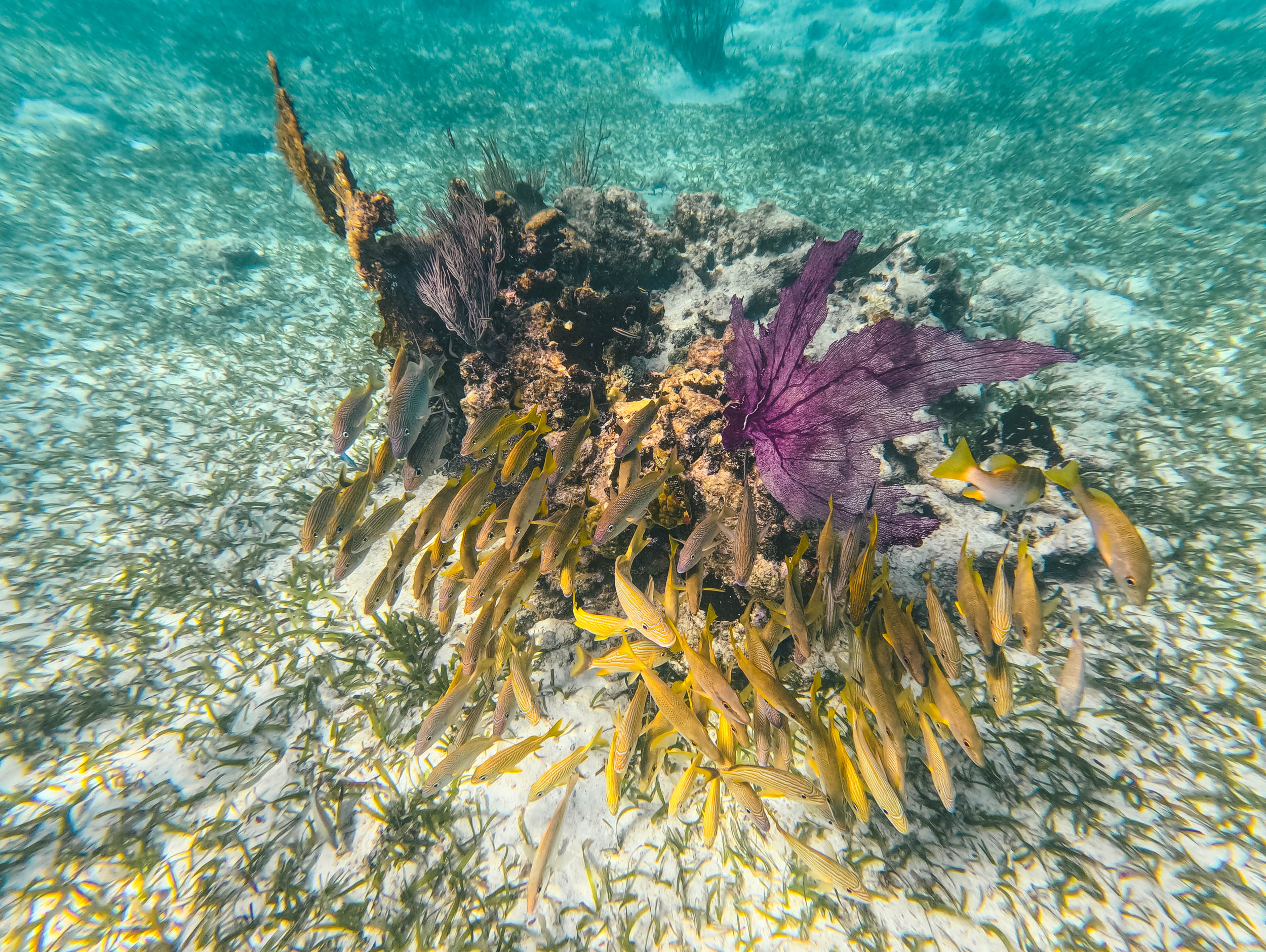 Que faire à Mahahual et sur la costa Maya ? Notre guide