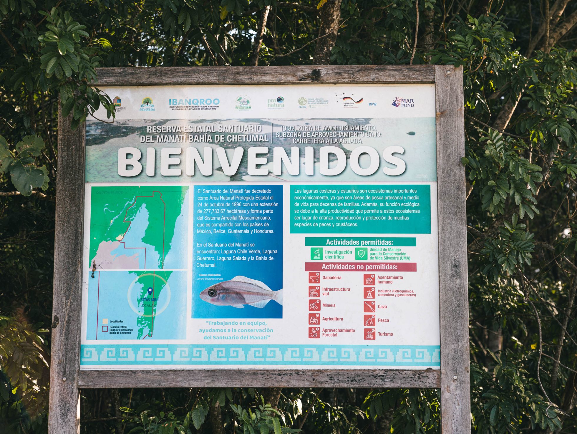 Que faire à Mahahual et sur la costa Maya ? Notre guide
