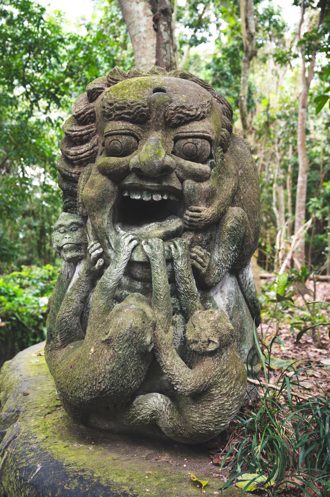 Visiter Ubud à Bali : que faire ? Notre guide complet