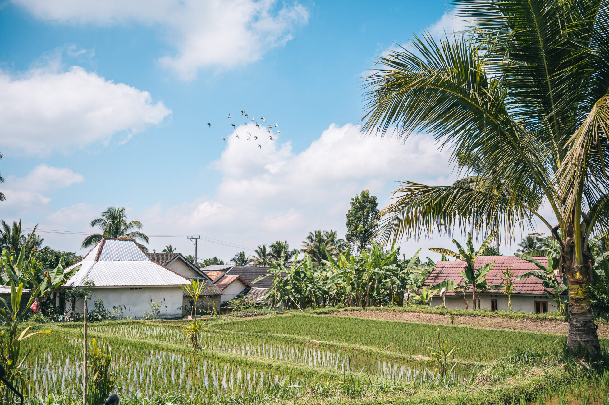 Visiter Tebatu à Lombok, que faire ? Notre guide